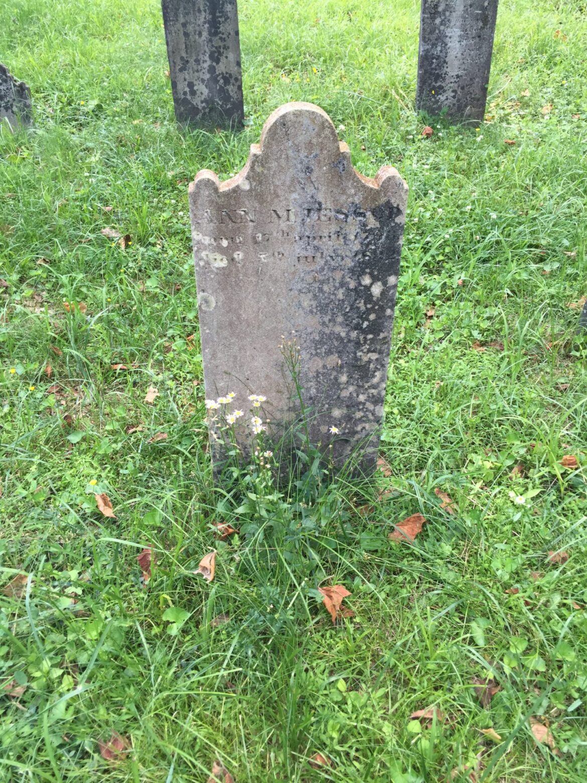 The Hidden History of Jessop Family Cemetery - The Dead History