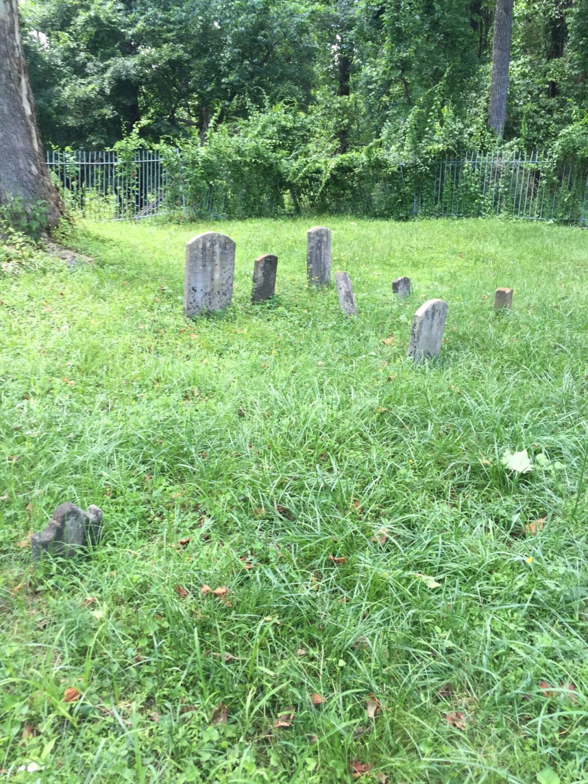 The Hidden History of Jessop Family Cemetery - The Dead History