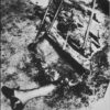 Mary Reeser and the Phenomenon of Spontaneous Human Combustion - The ...
