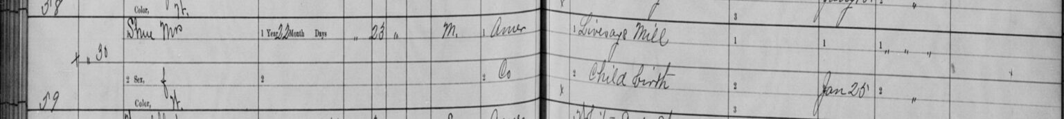 Death Did Not Silence Her: The Murder of Zona Heaster Shue - The Dead ...