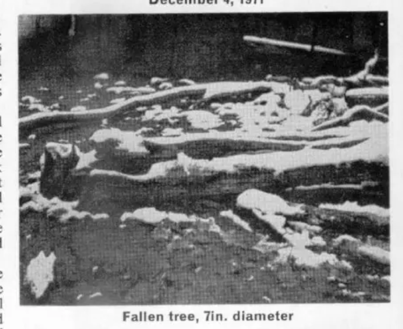 The Delphos Ring: Kansas' Mysterious UFO Incident - The Dead History